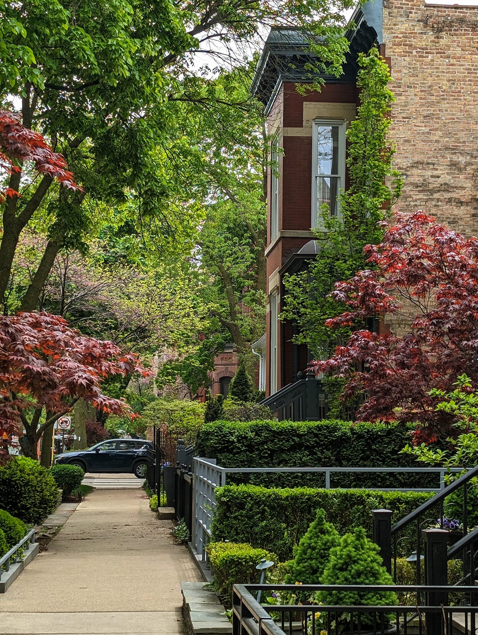 Chicago Architecture: A Neighborhood Stroll with Stepheny – Main Street ...
